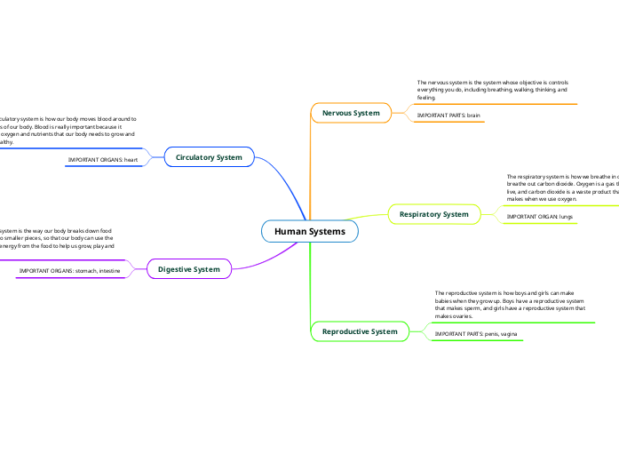 Human Systems - Mind Map